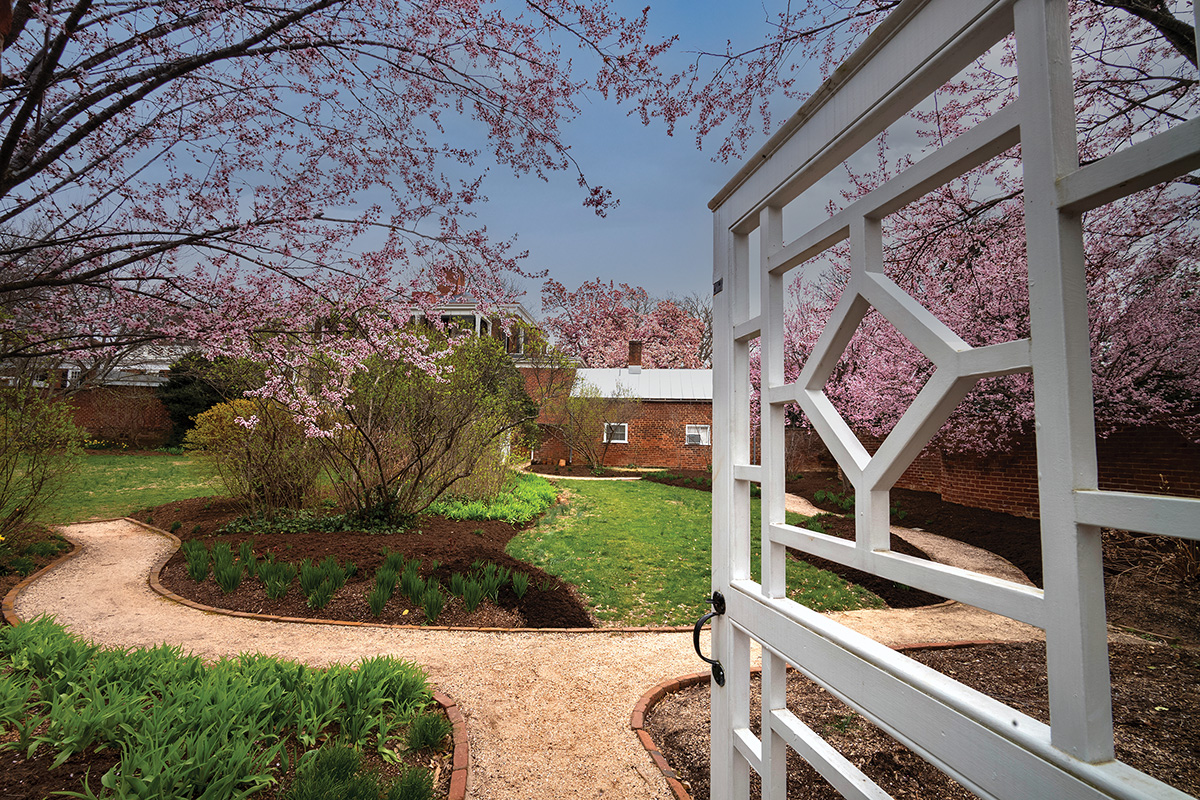 Rotunda 2 – Discover Charlottesville