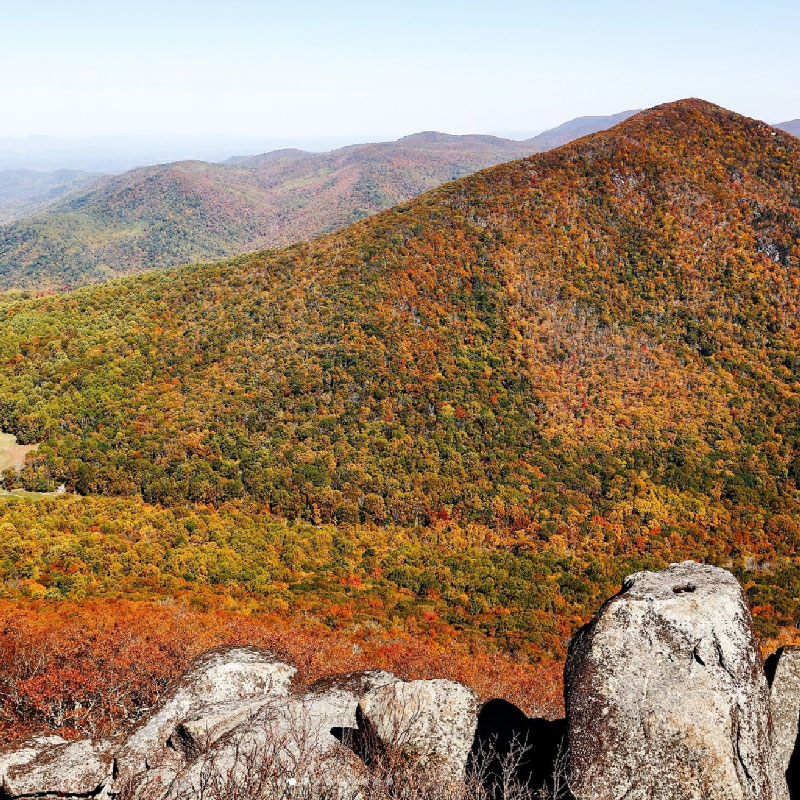 Blue Ridge Parkway – Discover Charlottesville