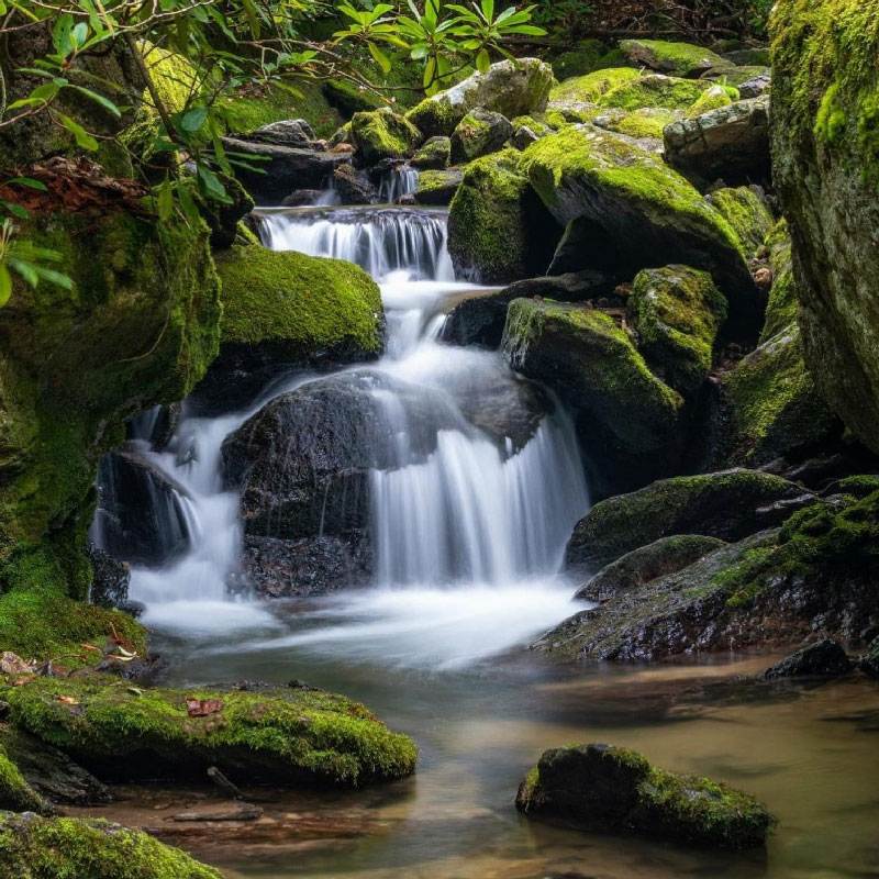 Blue Ridge Parkway – Discover Charlottesville