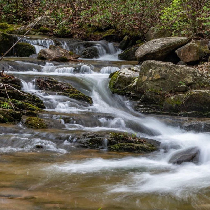 Blue Ridge Parkway – Discover Charlottesville