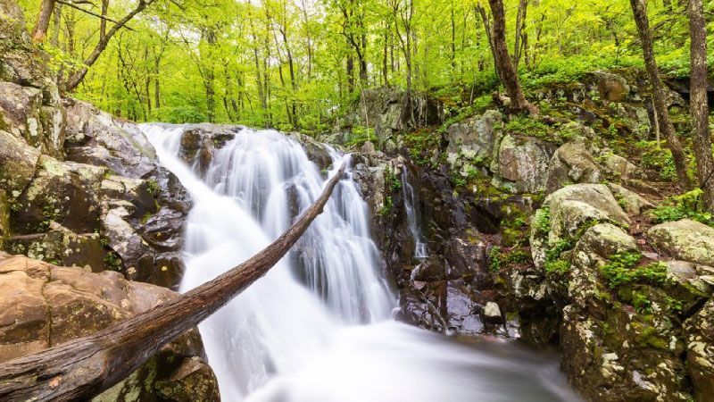 Shenandoah NP – Discover Charlottesville