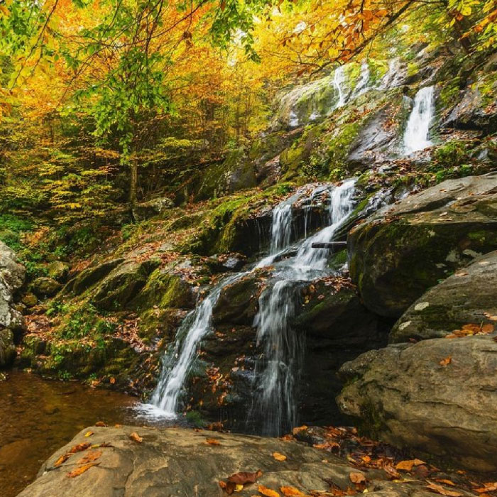 Shenandoah NP – Discover Charlottesville